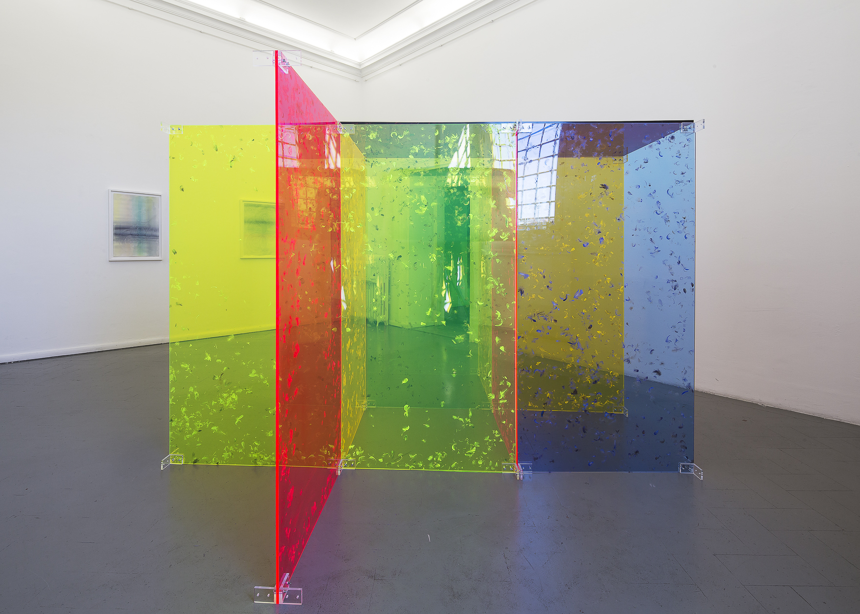 Alfredo Pirri – SECCI