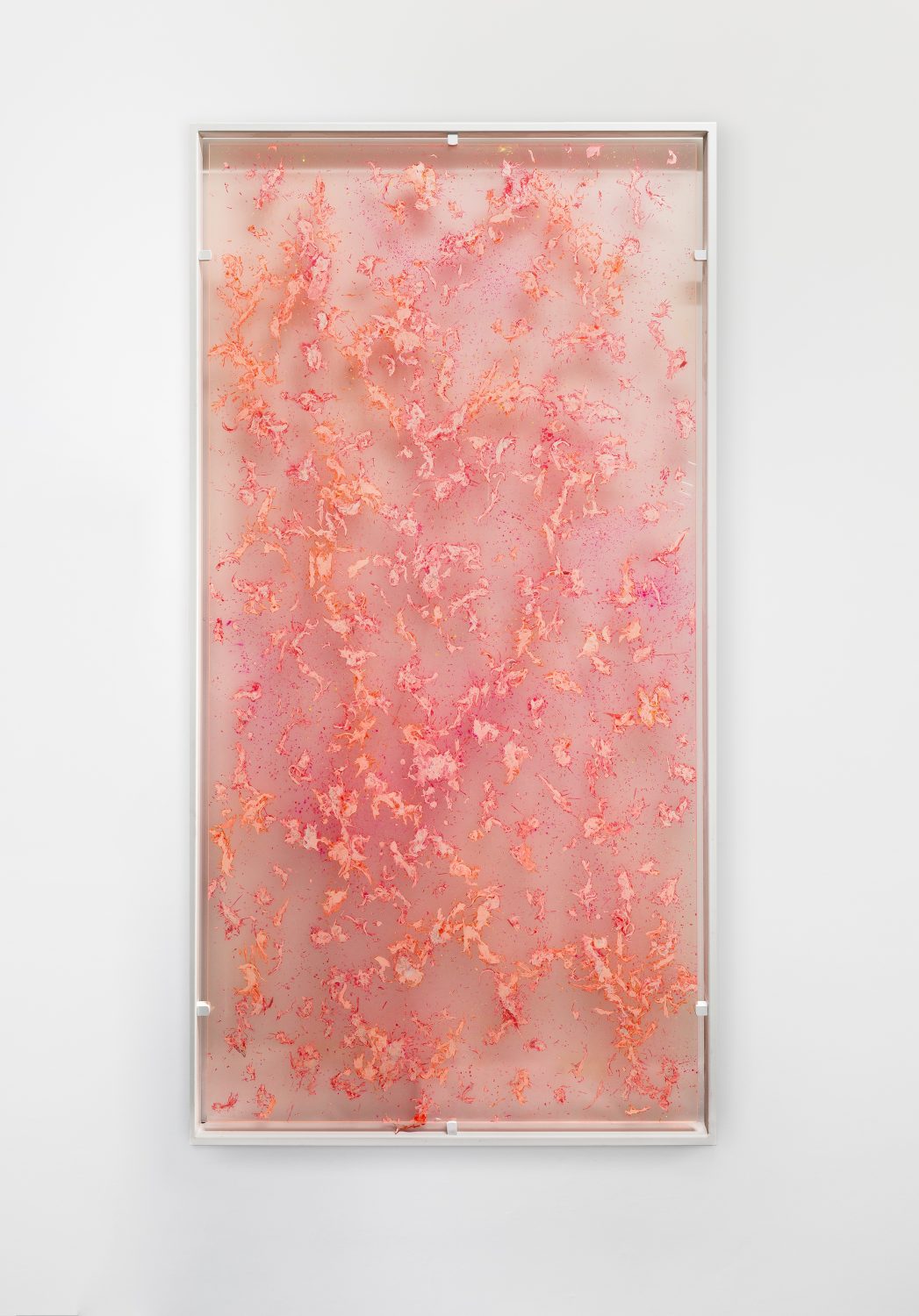 Alfredo Pirri – SECCI